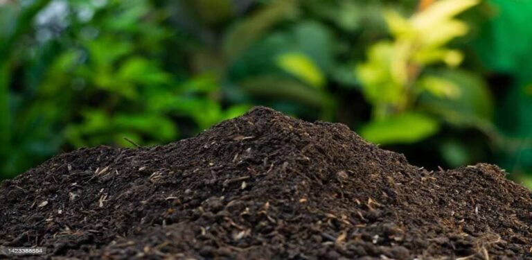78 Pro Screen | Topsoil Screening Equipment